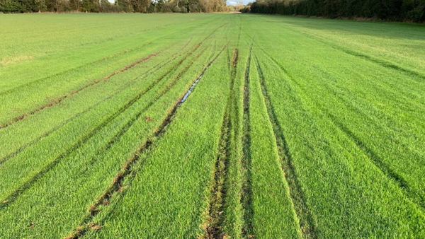 How to Land on Farmstrips in the UK: A GA Pilot’s Guide to Grass Roots